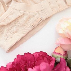 Panache | Intimates & Sleepwear | Panache Superbra Idina Plunge Latte ...
